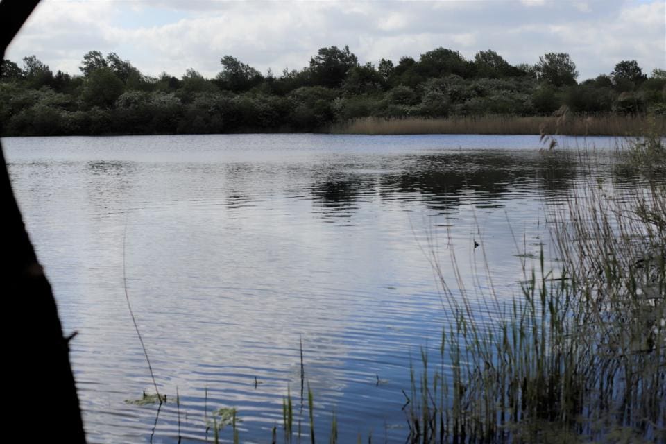 Crown Lakes - Embryo Angling