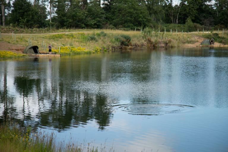 Billy's Lake - Embryo Angling