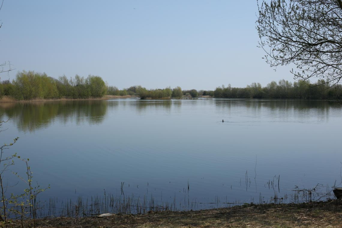 Snails Lake - Embryo Angling