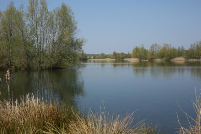 Snails Lake - Embryo Angling