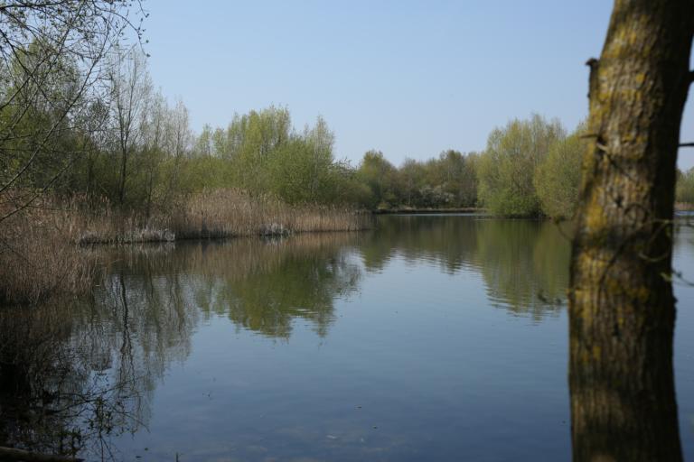 Snails Lake - Embryo Angling
