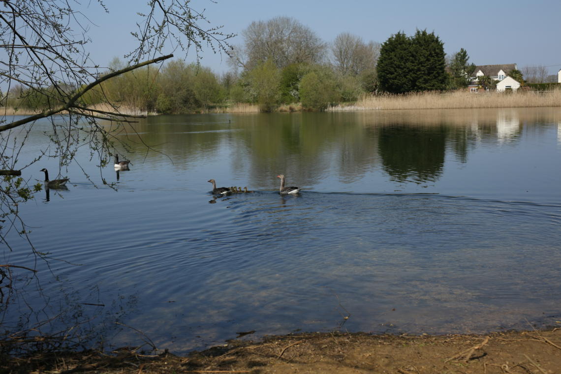 Snails Lake - Embryo Angling