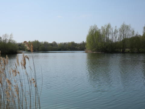 Snails Lake - Embryo Angling