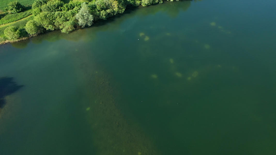 Snails Lake - Embryo Angling