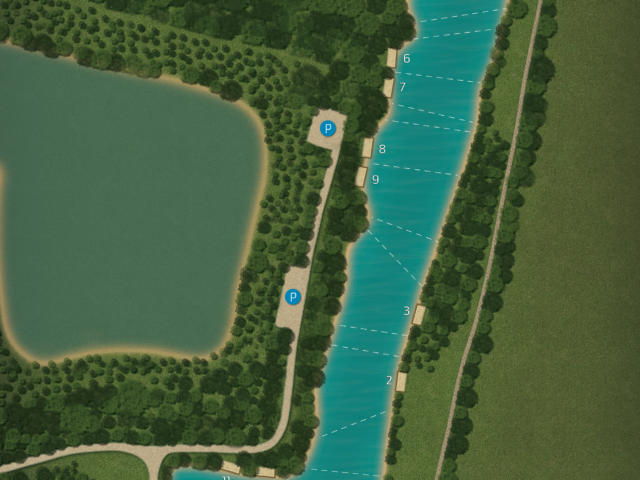 Norton Disney - Embryo Angling