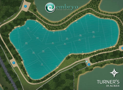 Turner's Lake - Embryo Angling