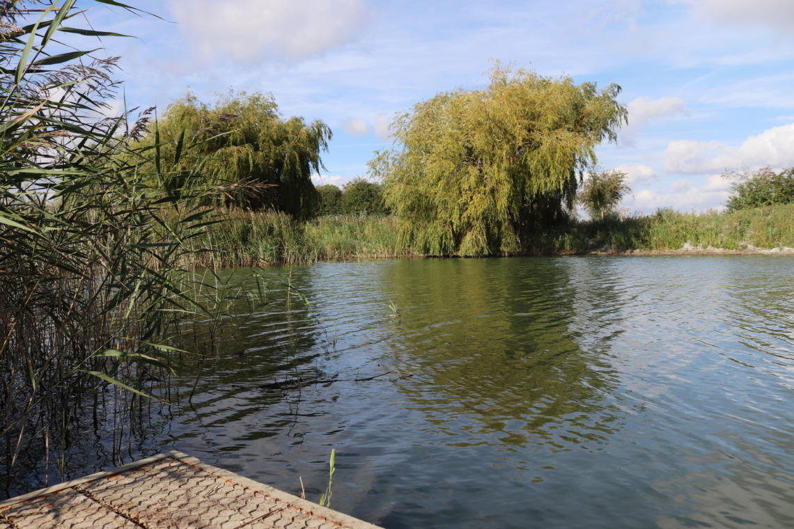 North Bank - Embryo Angling