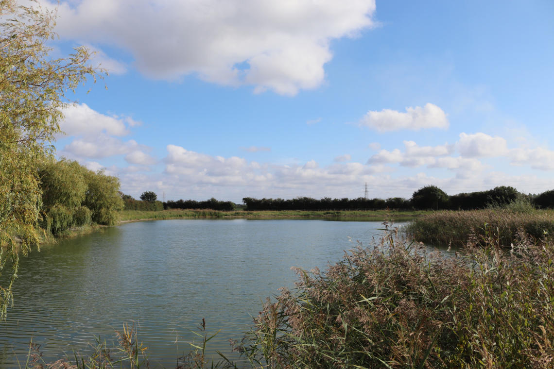 North Bank - Embryo Angling