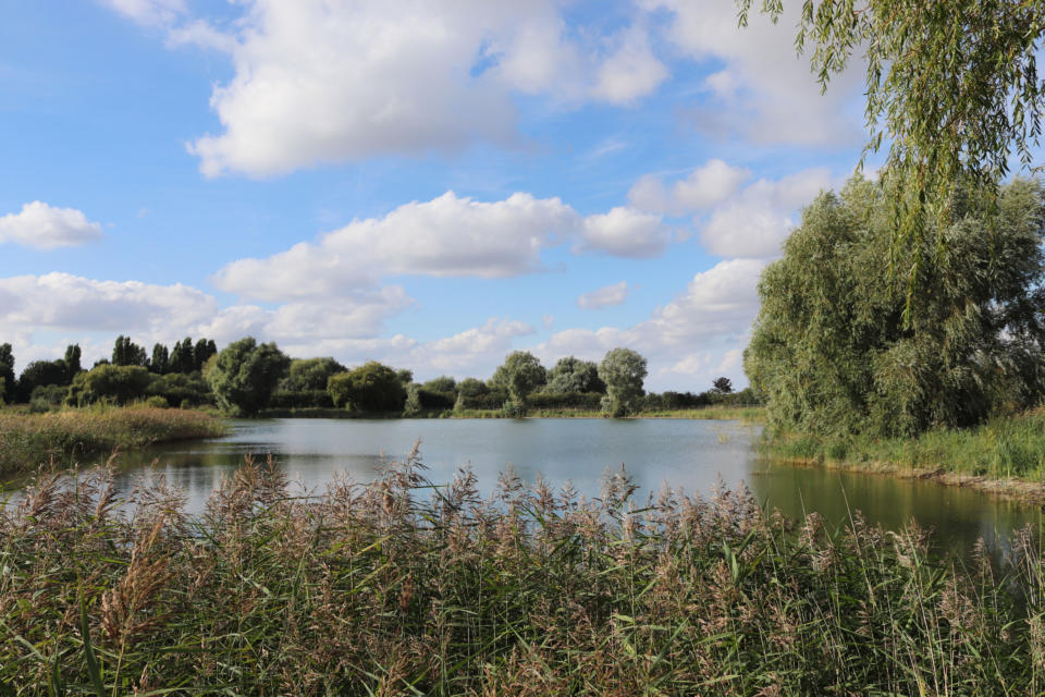 North Bank - Embryo Angling