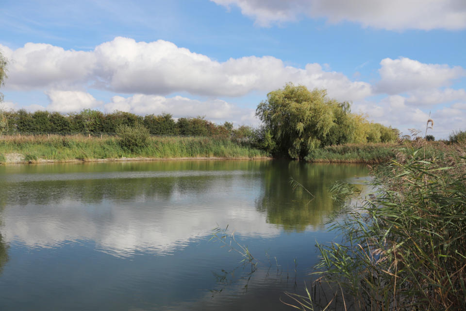 North Bank - Embryo Angling