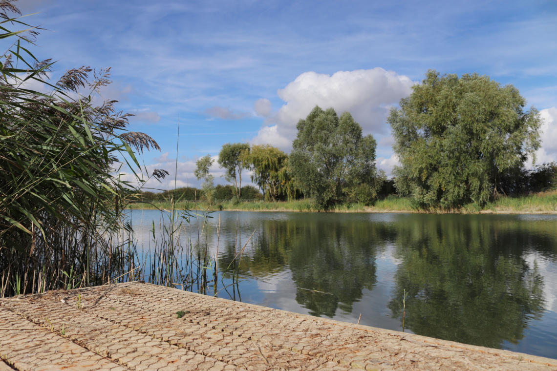 North Bank - Embryo Angling