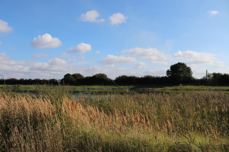 North Bank - Embryo Angling
