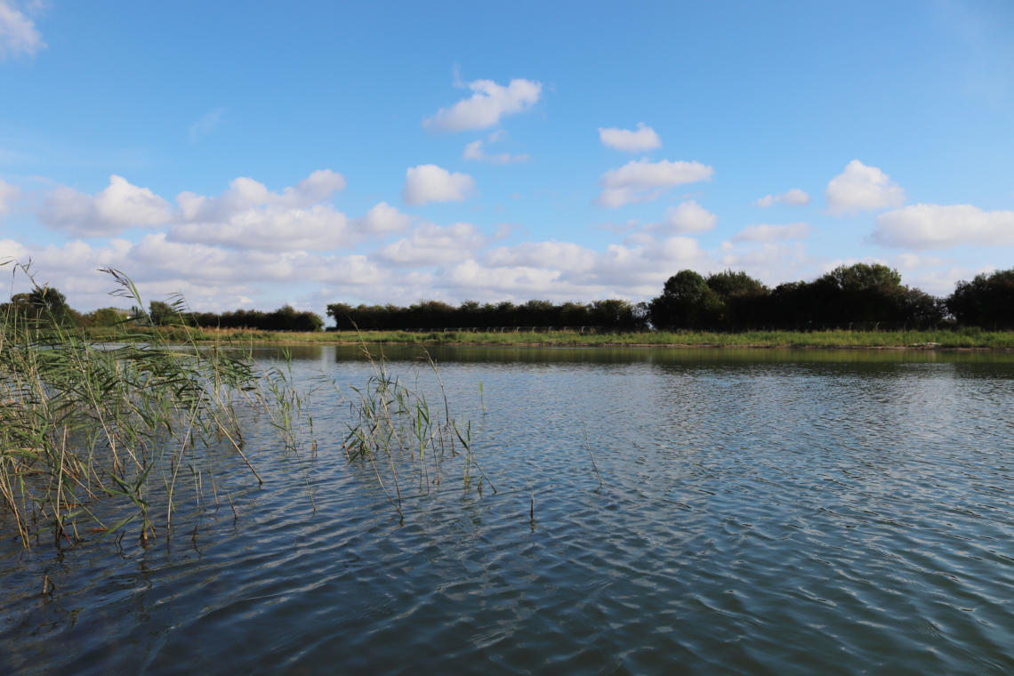 North Bank - Embryo Angling