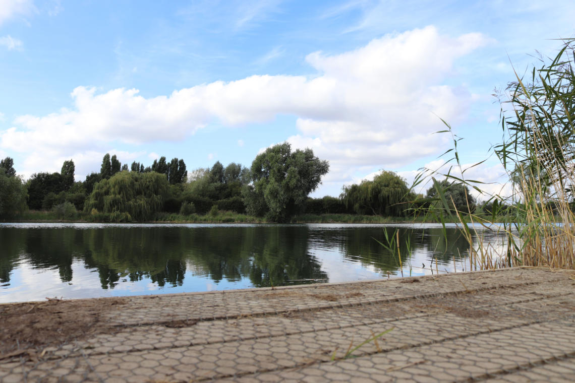 North Bank - Embryo Angling