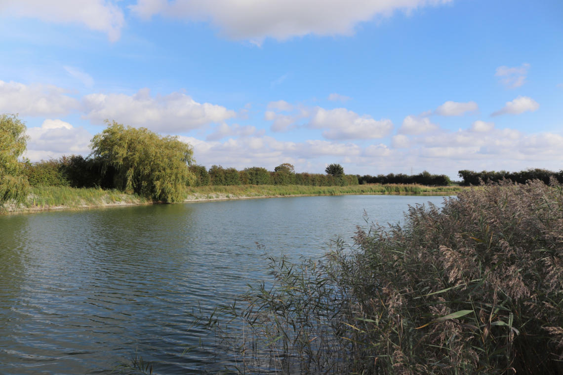 North Bank - Embryo Angling