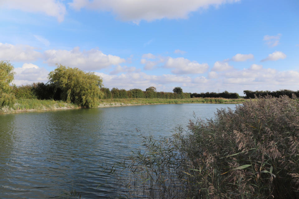 North Bank - Embryo Angling