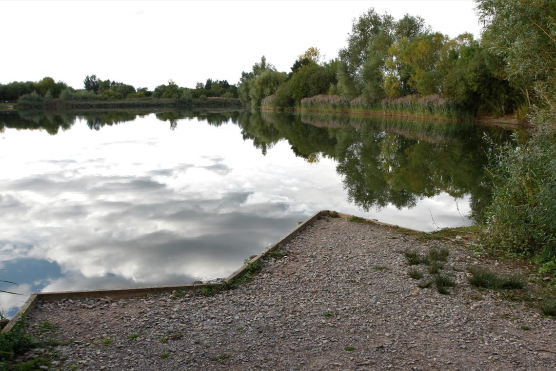 Home Field Lake - Embryo Angling