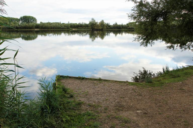 Home Field Lake - Embryo Angling