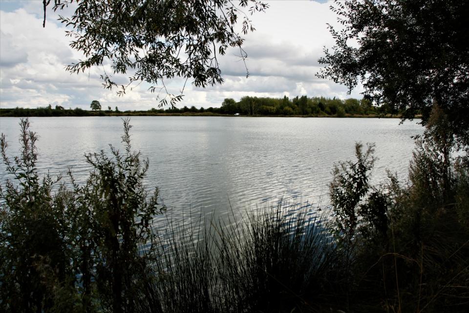 Baulking Lake - Embryo Angling