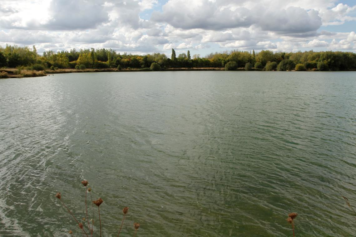 Baulking Lake - Embryo Angling
