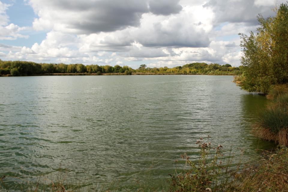 Baulking Lake - Embryo Angling