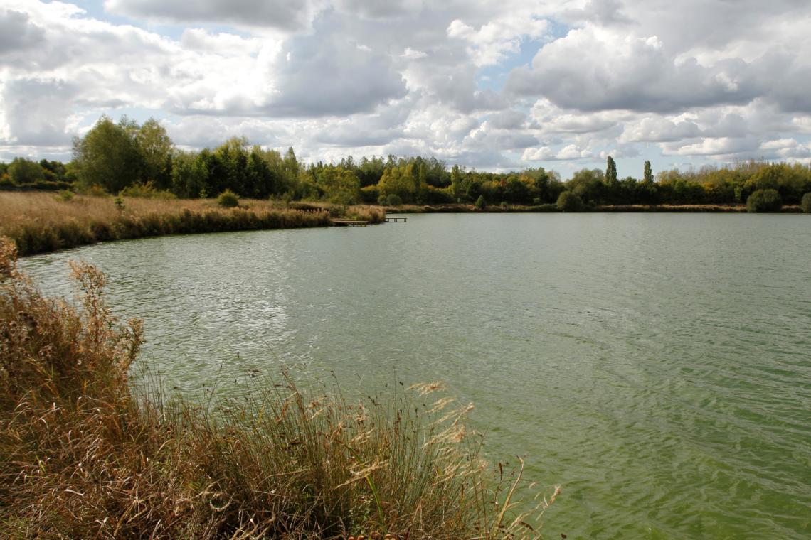 Baulking Lake - Embryo Angling