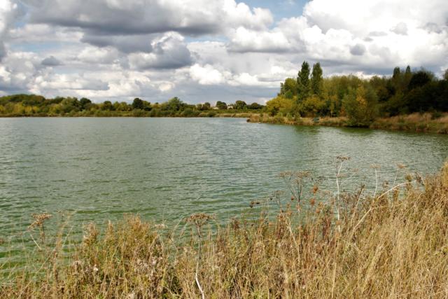 Baulking Lake - Embryo Angling