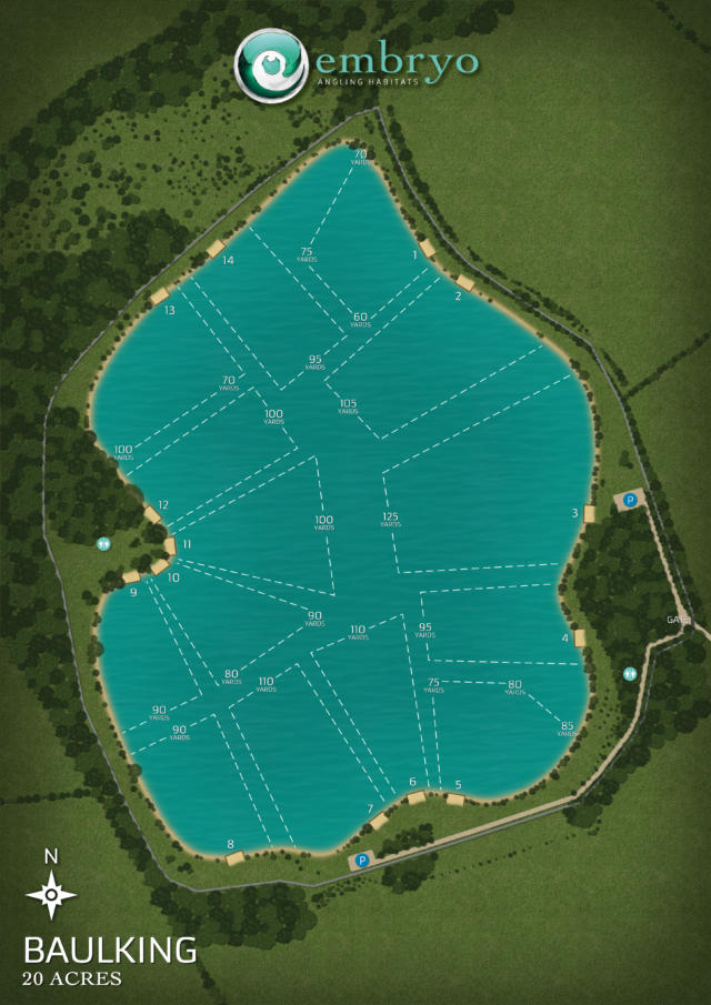 Baulking Lake - Embryo Angling