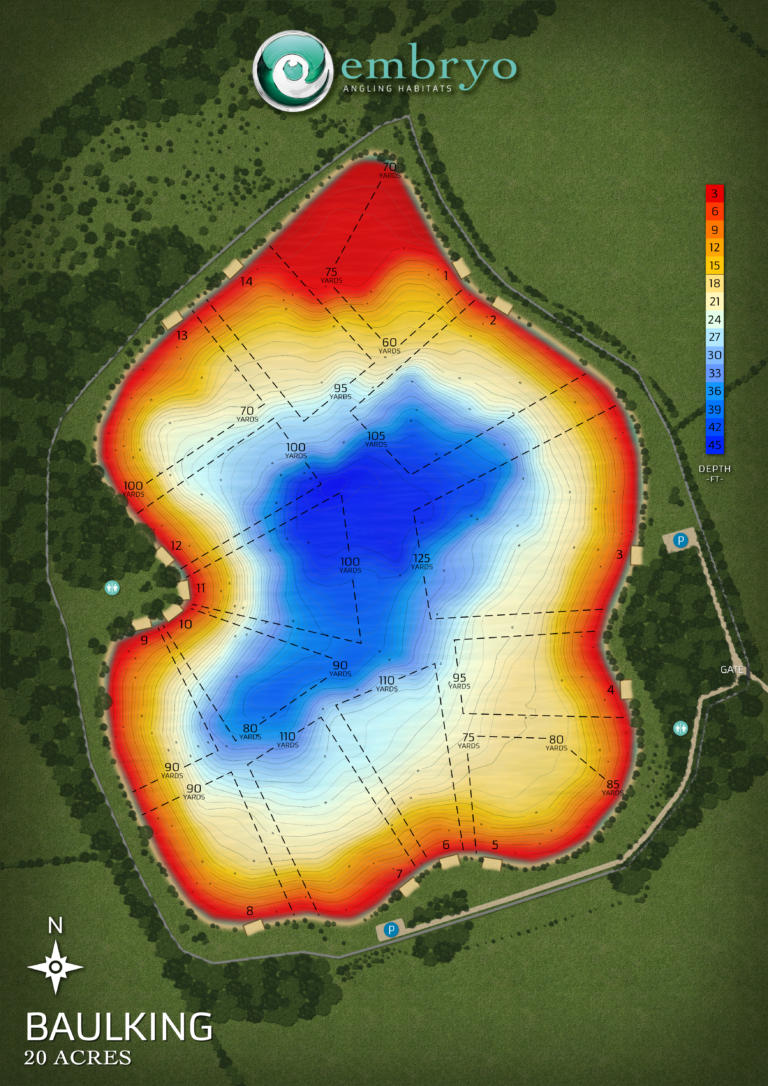 Baulking Lake - Embryo Angling