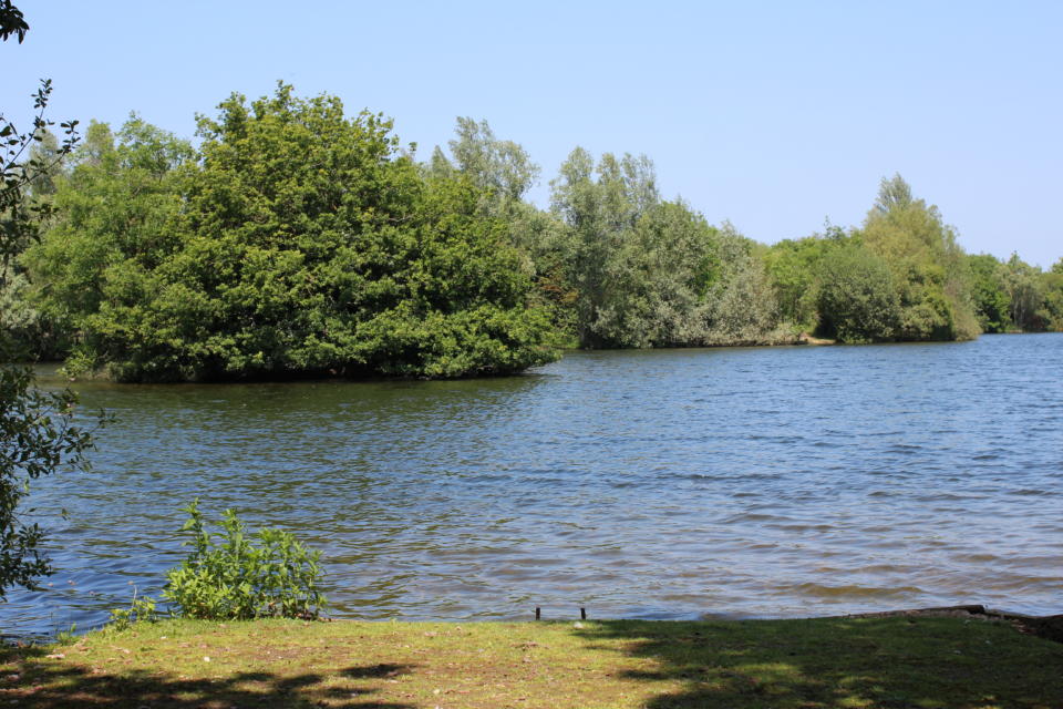 Luxborough Lake - Embryo Angling