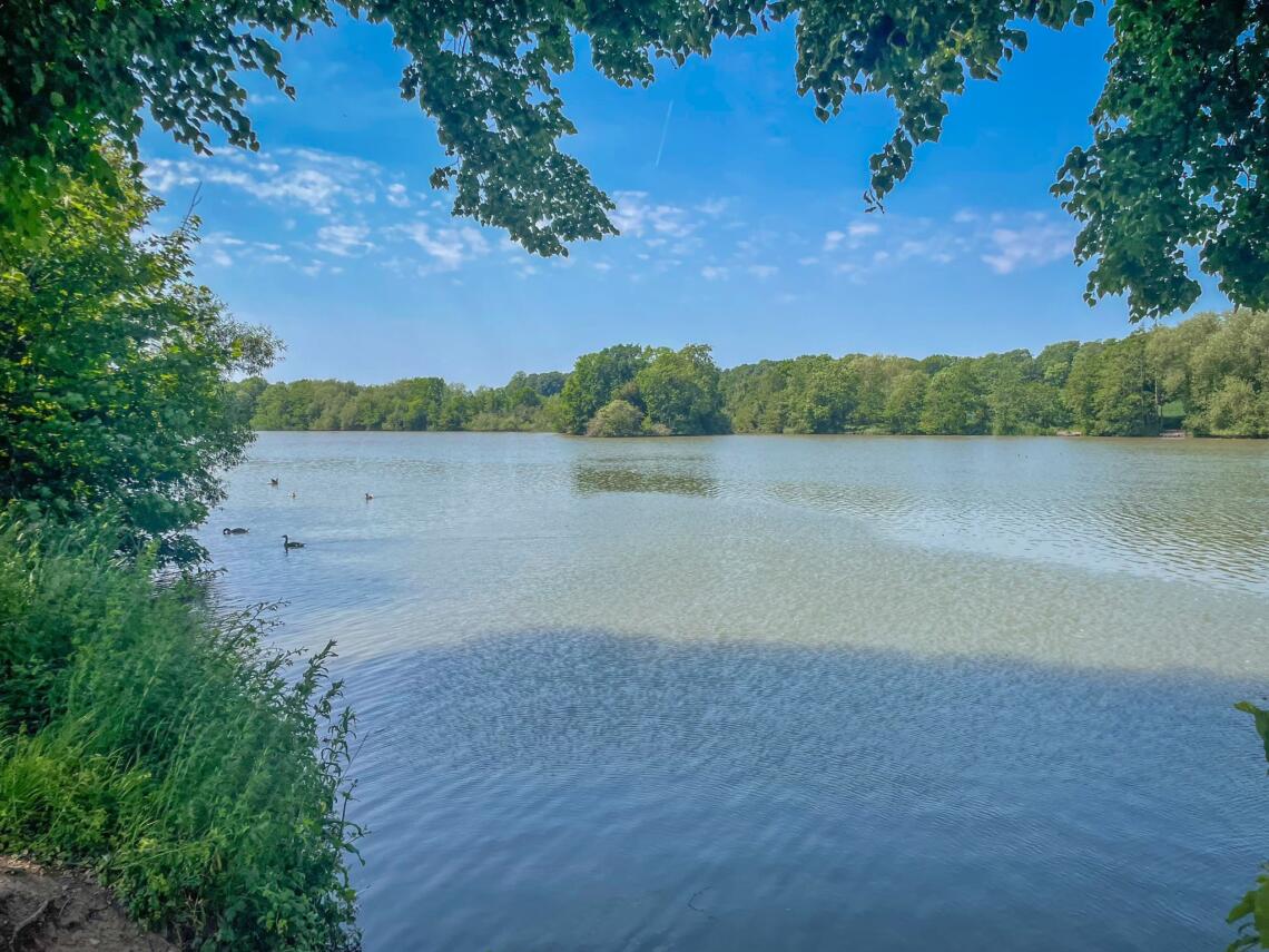 Langold Lake - Embryo Angling