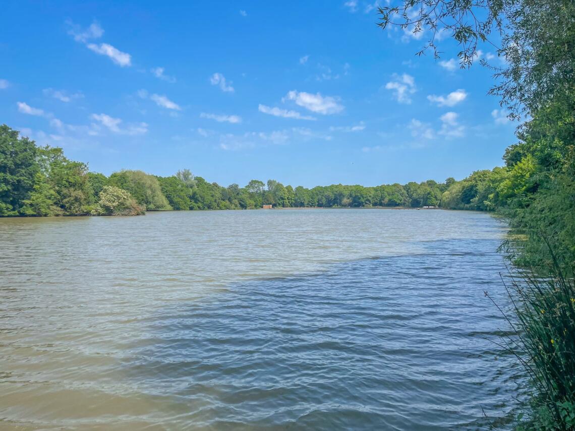 Langold Lake - Embryo Angling