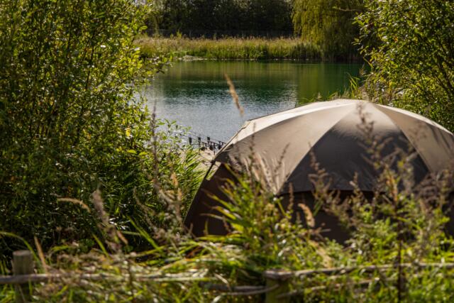 North Bank - Embryo Angling