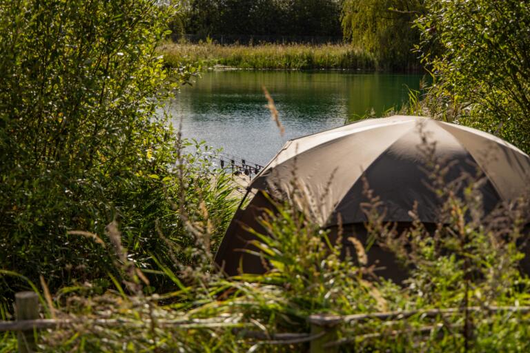 North Bank - Embryo Angling