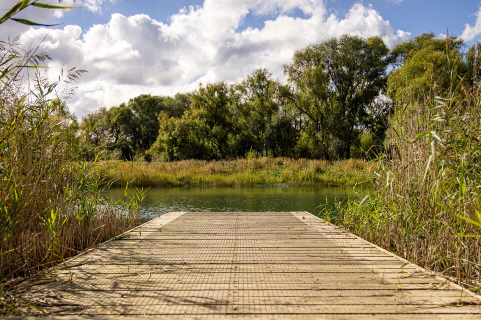 North Bank - Embryo Angling