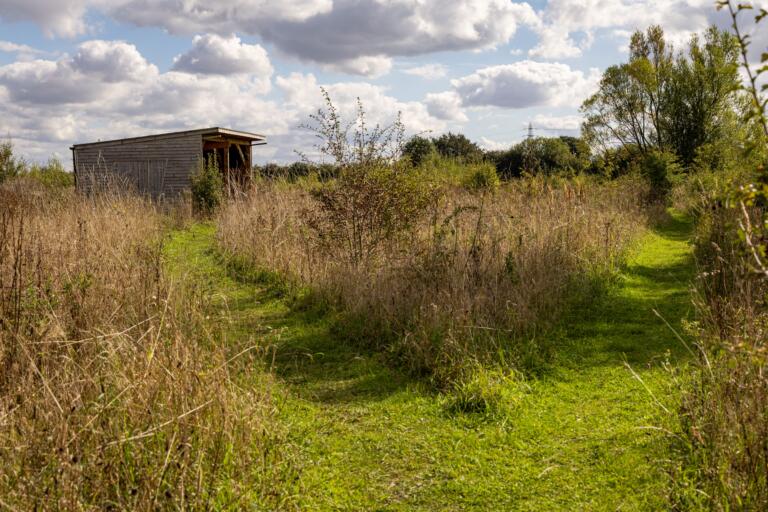 North Bank - Embryo Angling