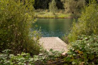 North Bank - Embryo Angling