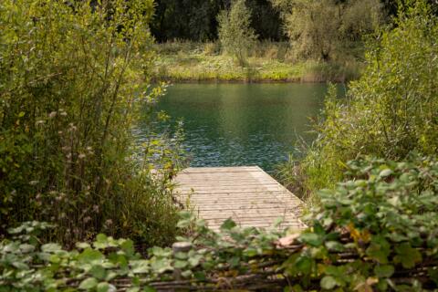 North Bank - Embryo Angling