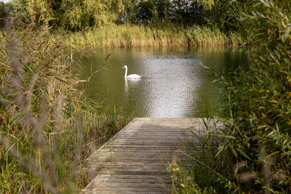 North Bank - Embryo Angling