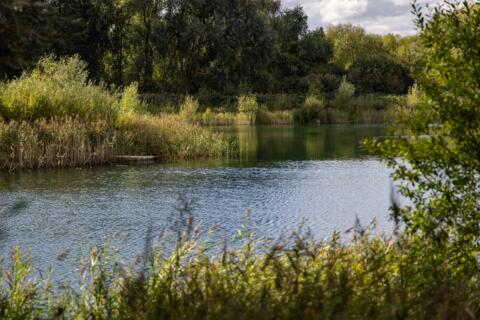 North Bank - Embryo Angling