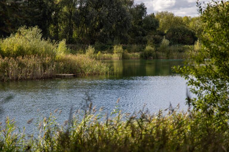 North Bank - Embryo Angling