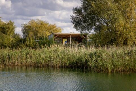 North Bank - Embryo Angling