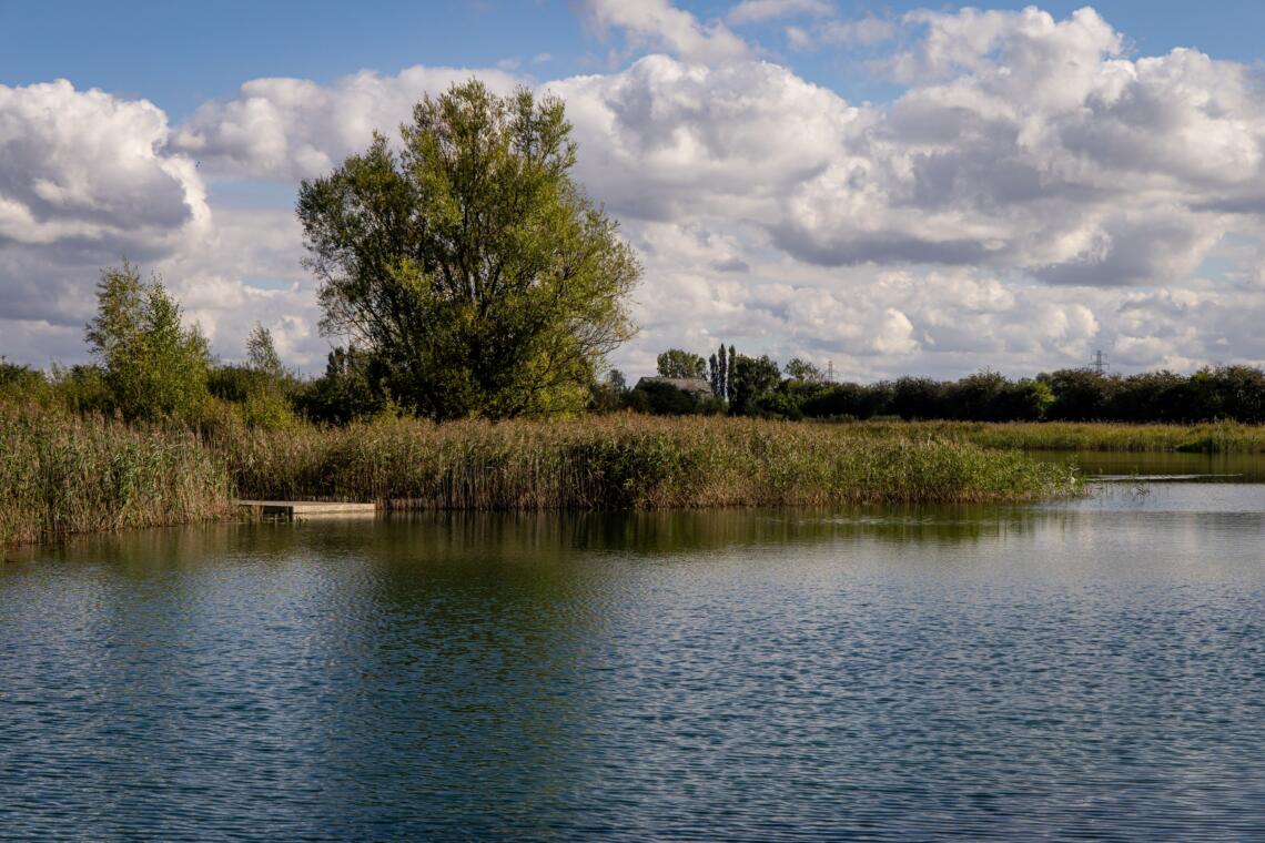 North Bank - Embryo Angling