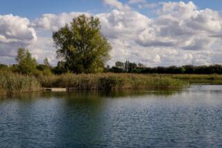 North Bank - Embryo Angling