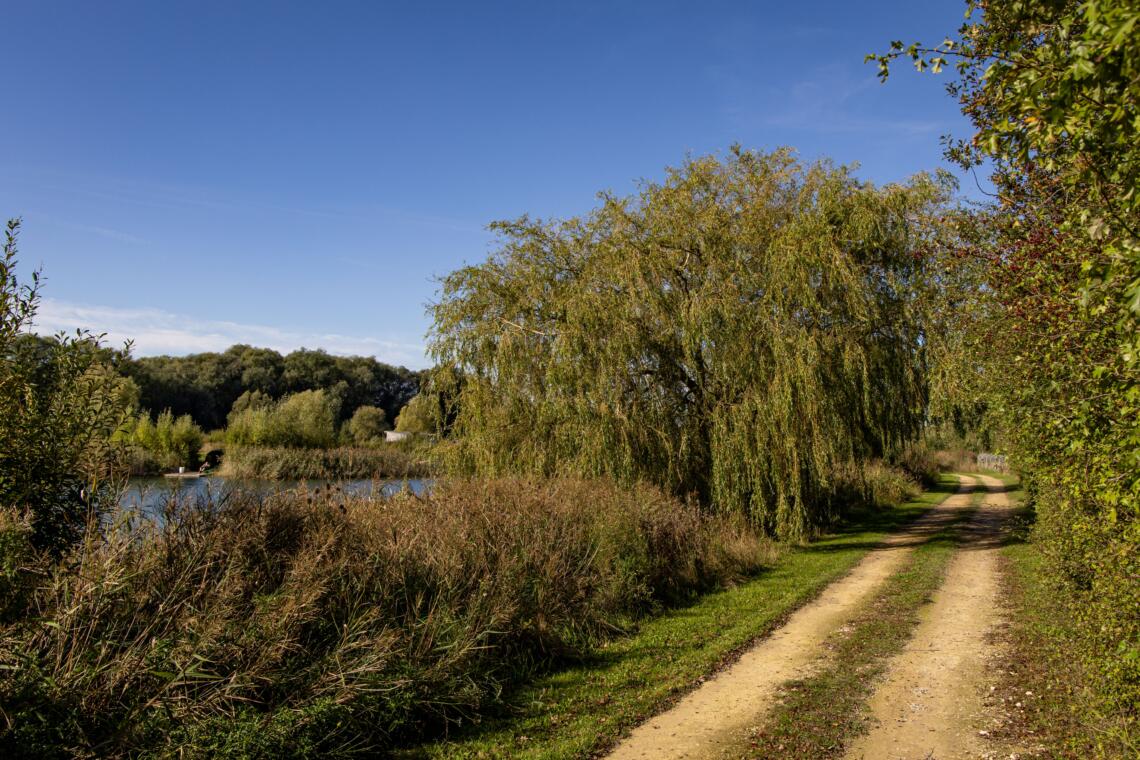 North Bank - Embryo Angling