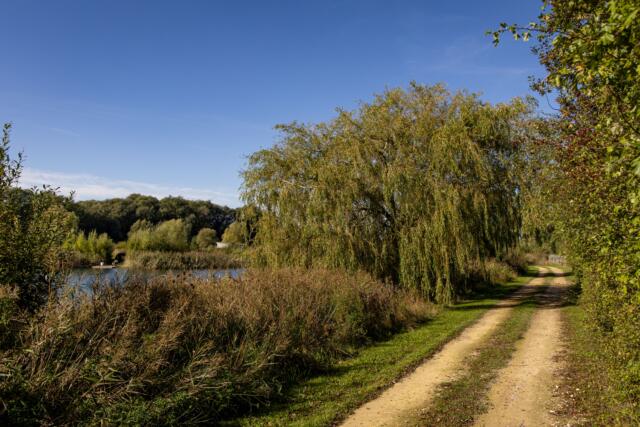 North Bank - Embryo Angling