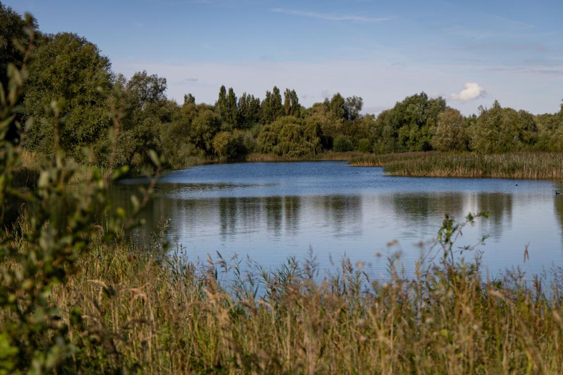 North Bank - Embryo Angling