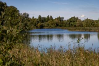 North Bank - Embryo Angling