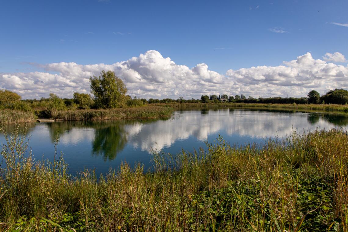 North Bank - Embryo Angling