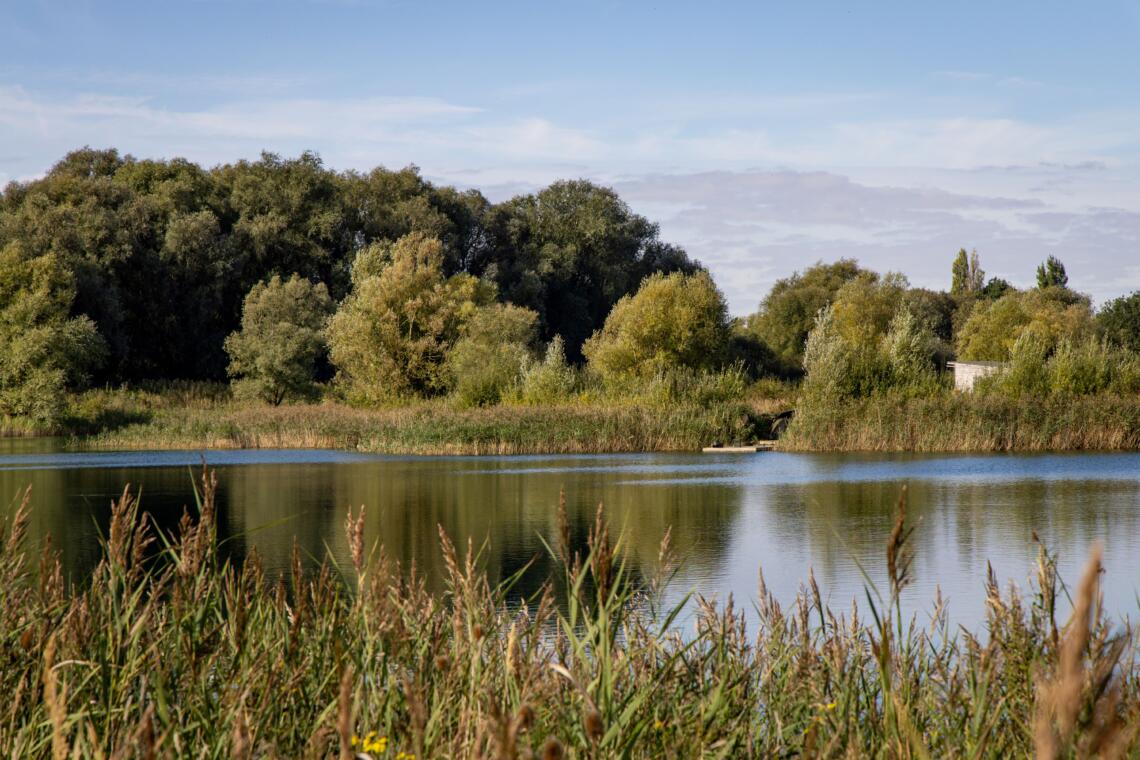 North Bank - Embryo Angling